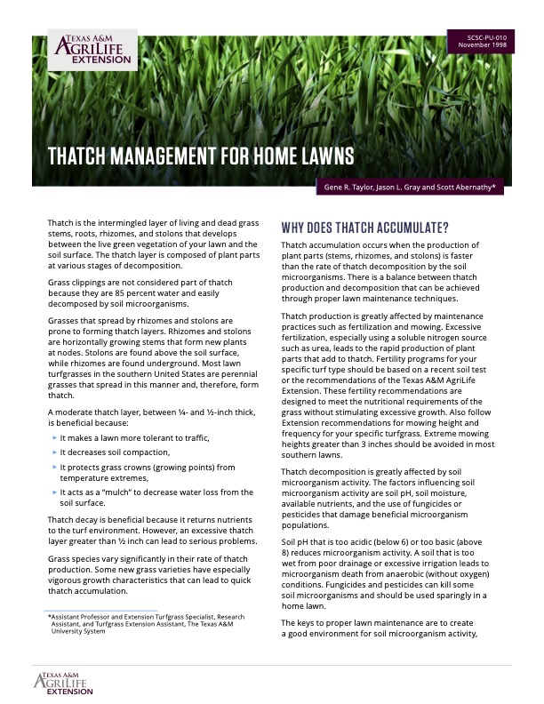 Thatch Management for Home Lawns | Publications | AgriLife Learn