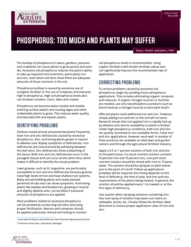 Phosphorus--Too Much and Plants May Suffer | Publications | AgriLife Learn
