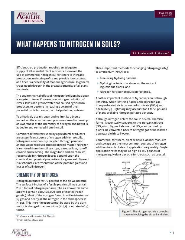 What Happens to Nitrogen in Soils? | Publications | AgriLife Learn