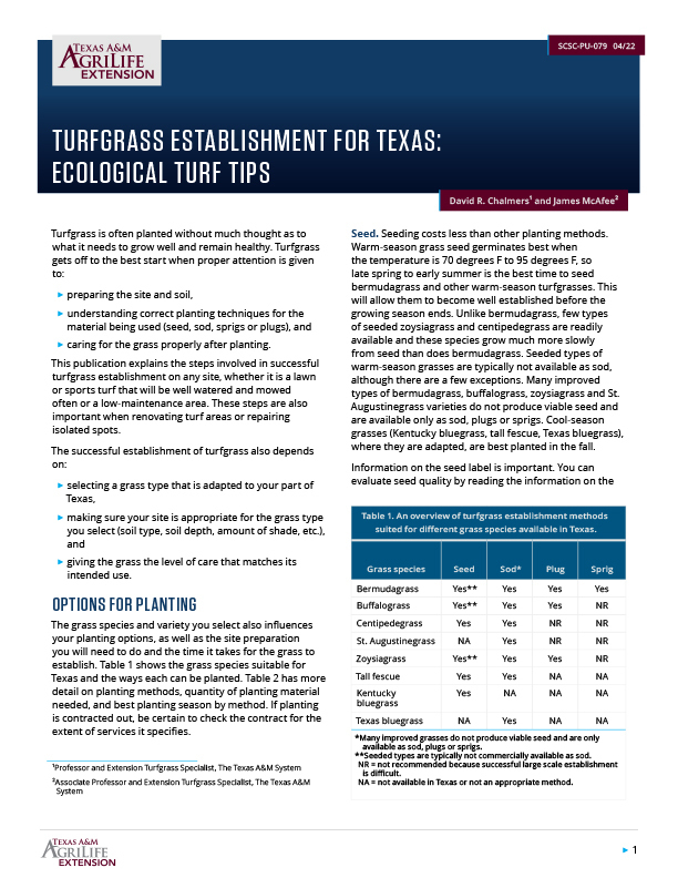Turfgrass Establishment for Texas: Ecological Turf Tips | Publications ...