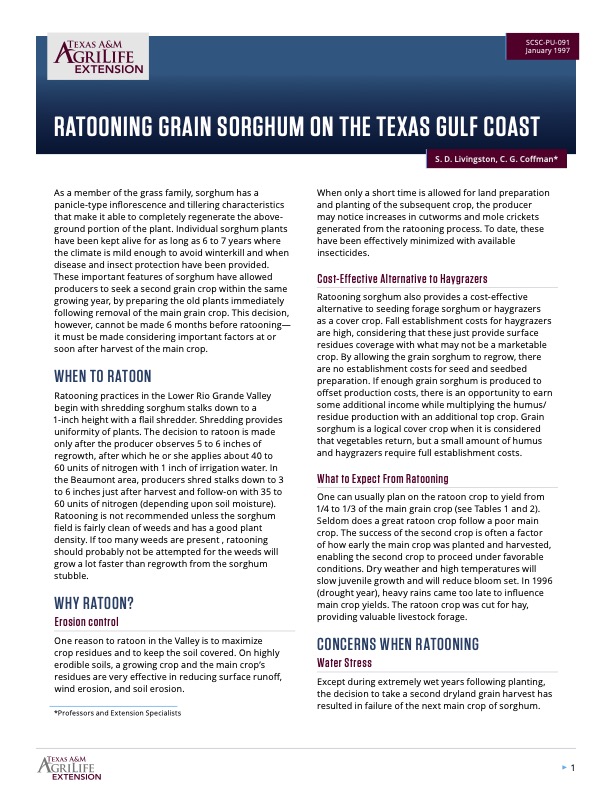 Ratooning Grain Sorghum on the Texas Gulf Coast | Publications ...