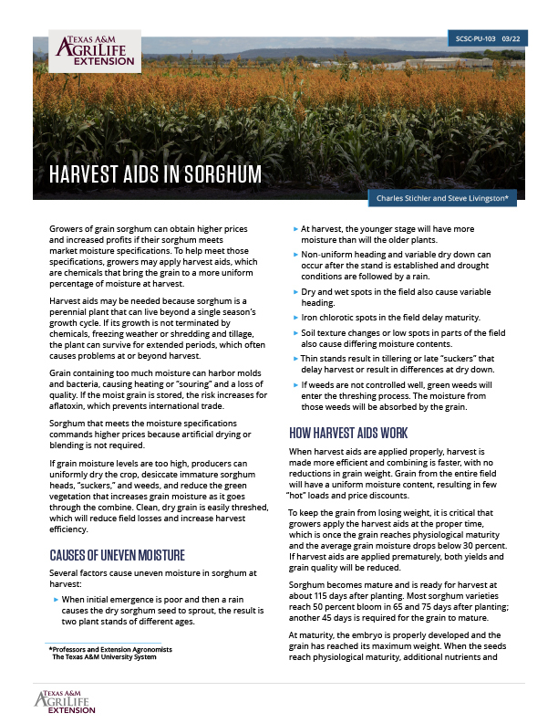Harvest Aids in Sorghum | Publications | AgriLife Learn