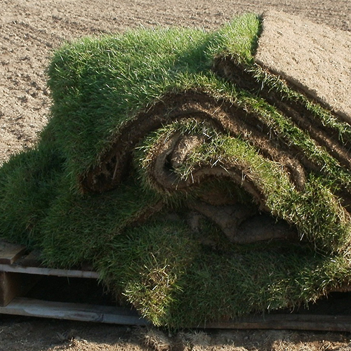 Ecological Turf Tips: How to Select and Install Sod | Publications ...