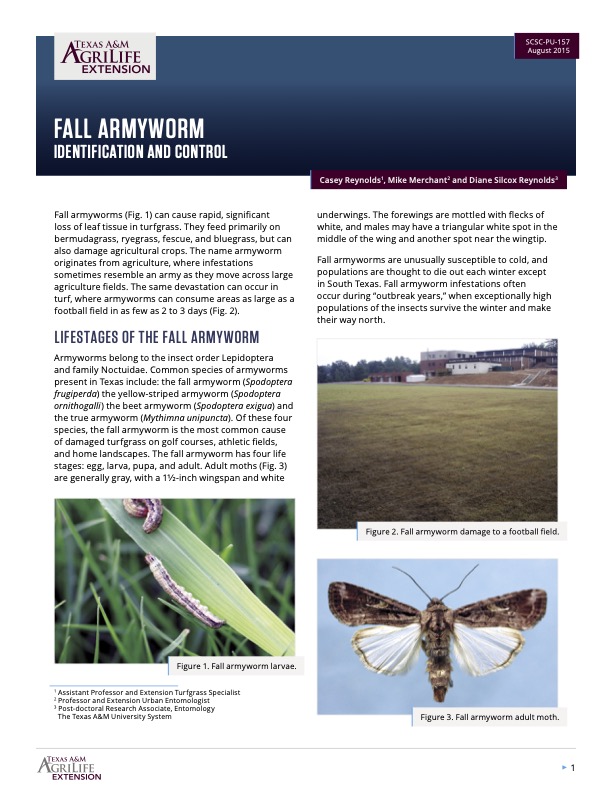 Fall Armyworm - Identification and Control | Publications | AgriLife Learn
