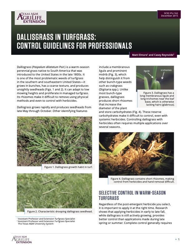 Dallisgrass in Turfgrass: Control Guidelines for Professionals ...
