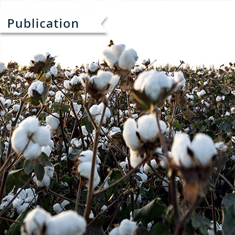 Business Development | Texas A&M AgriLife Learn