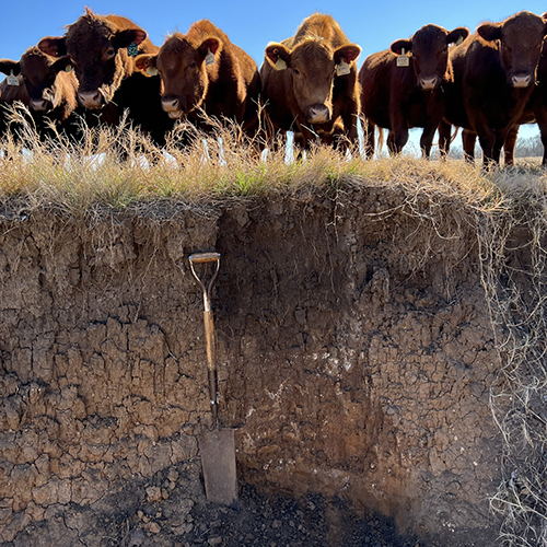 Know Your Texas Soils | Publications | AgriLife Learn