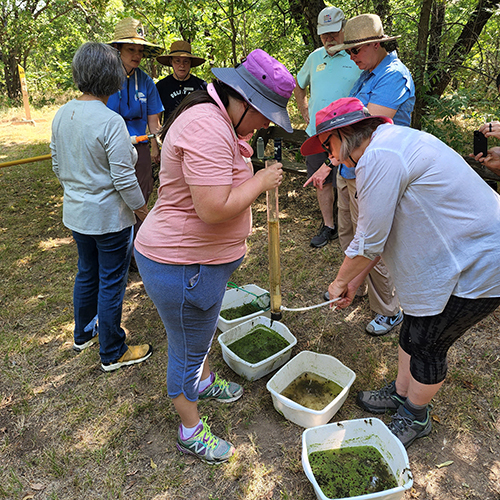 Citizen and Community Science: Inclusive Research for a Sustainable ...