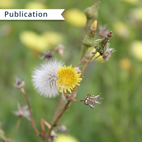 Plants & Crops | Texas A&M AgriLife Learn