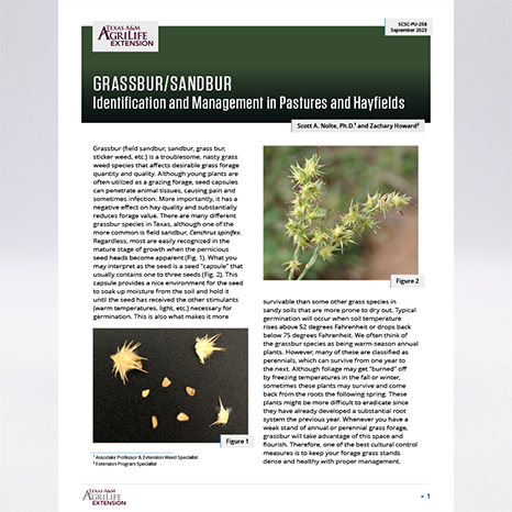 Grassbur/Sandbur Identification and Management in Pastures and ...