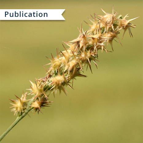 Land Management | Texas A&M AgriLife Learn