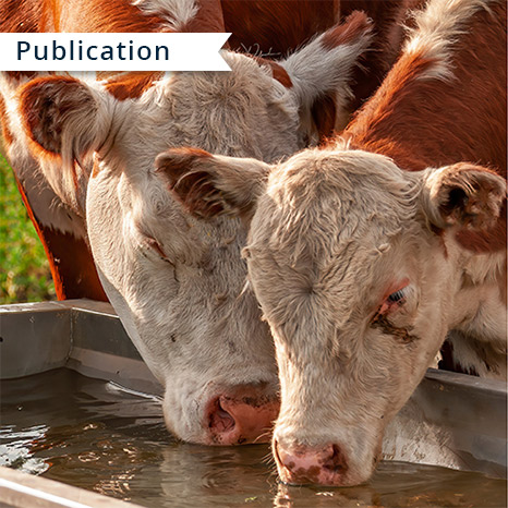 Animals & Livestock | Texas A&M AgriLife Learn