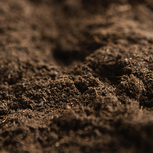 Biochar for Soil Improvement: Everything you need to know and more ...