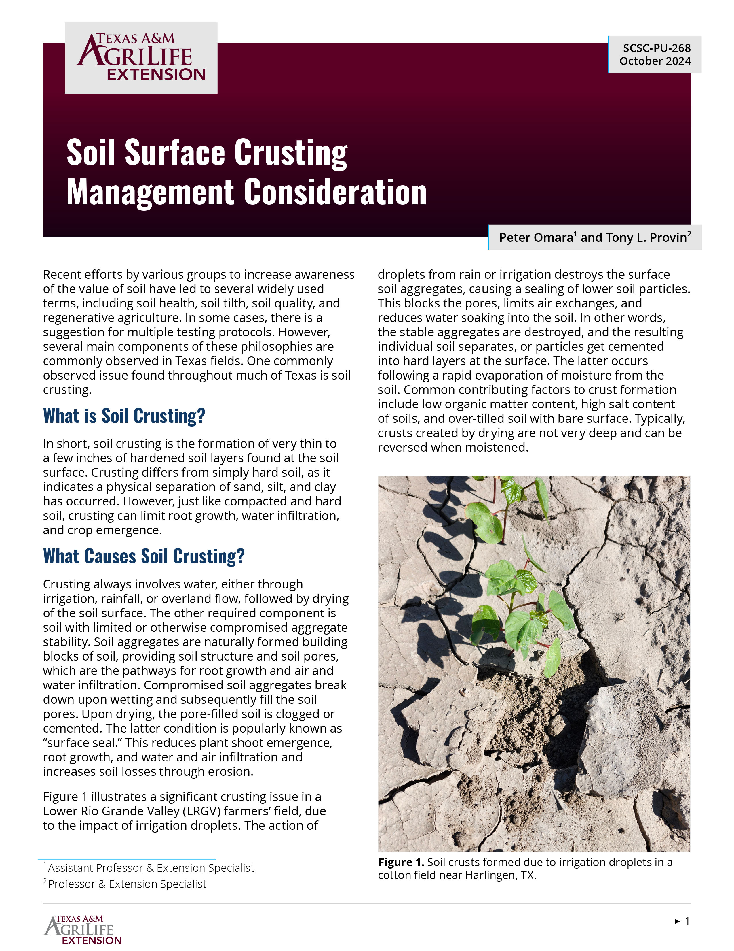 Soil Surface Crusting Management Consideration | Publications ...