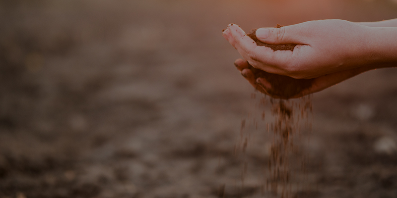 Texas A&M AgriLife Learn | Courses, Publications, and Merchandise